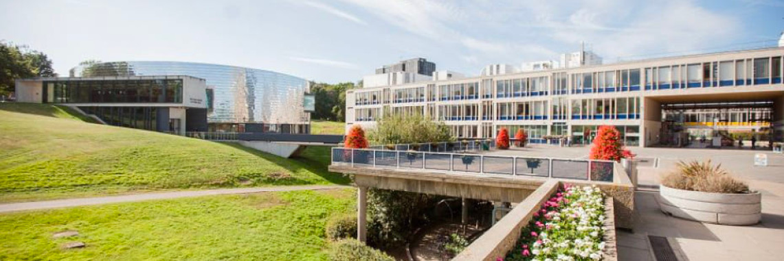 Estate INPSieme estero - Colchester - University of Essex