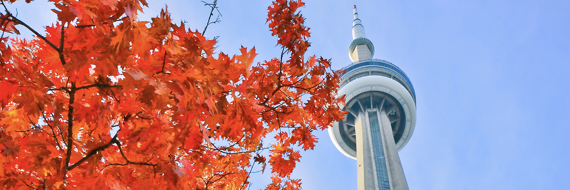 Anno all'estero - Toronto (Canada) - Select Program / L'Amoreaux Collegiate